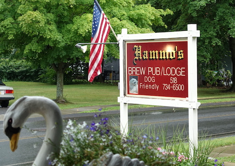 Hammo's Brewpub and Lodge opens in Hensonville | Watershed Post